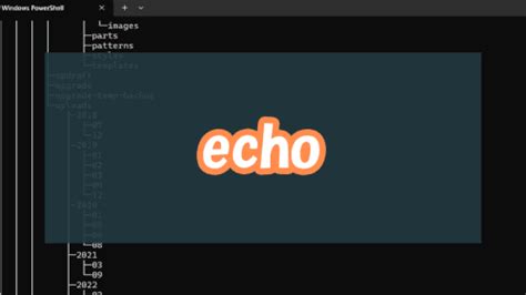 How To Use The Echo Command And Display Messages Essential For
