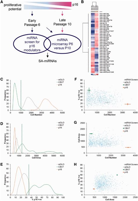 Mirna Library Screen And Mirna Expression Profiling Identify Sa Mirnas