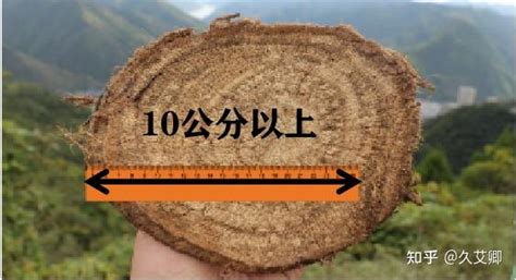 为你选了一杯好茶——葛根茶 知乎
