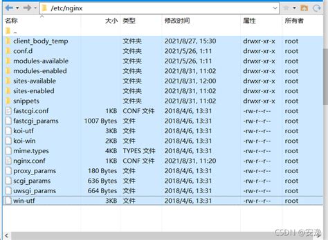 【nginx】linux服务器在线安装nginx并修改默认端口和配置代理linux改nginx端口 Csdn博客