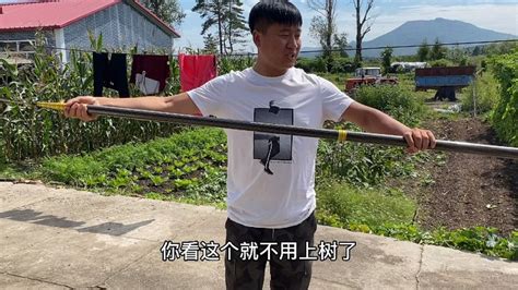 为了采猴头菇，几人花一千多买装备，13米伸缩杆，有它不用爬树了 三农 农村户外 好看视频