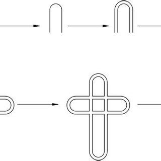 Part Five Short Answer Questions Marks Each Total Of Points Download Scientific