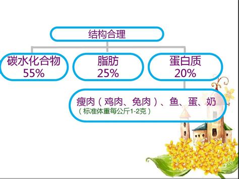 糖尿病患者的饮食护理word文档在线阅读与下载无忧文档