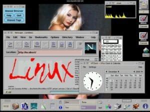 Compilation The Rarest Linux Distributions