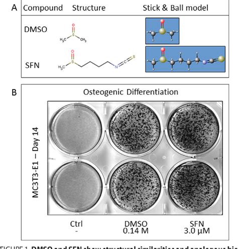 Figure 1 From Anabolic And Antiresorptive Modulation Of Bone
