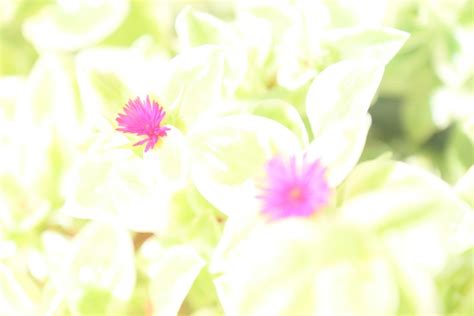 how to fix overexposed photos a comprehensive guide