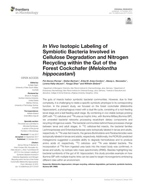 Pdf In Vivo Isotopic Labeling Of Symbiotic Bacteria Involved In