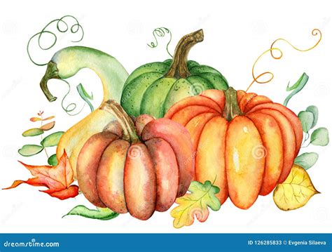 Watercolor Pumpkin And Autumn Leaves Harvest Composition Happy