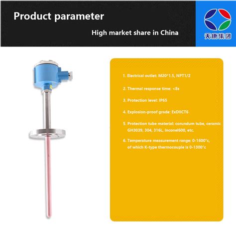 Explosion Proof Temperature Sensor