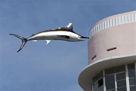 Definition And Examples Of Non Sequiturs