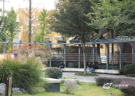 建立永久性绿地保护制度，新版《无锡市城市绿化管理条例》实施