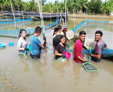 Ait Aquaculture The Aquaculture Program Of Asian Institute Of