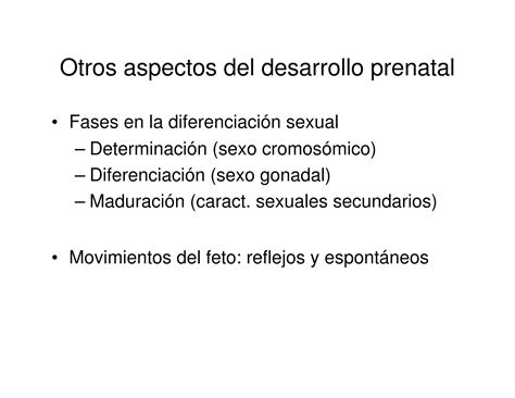 Desarrollo Prenatal Pdf Pregnancy Reproductive Health