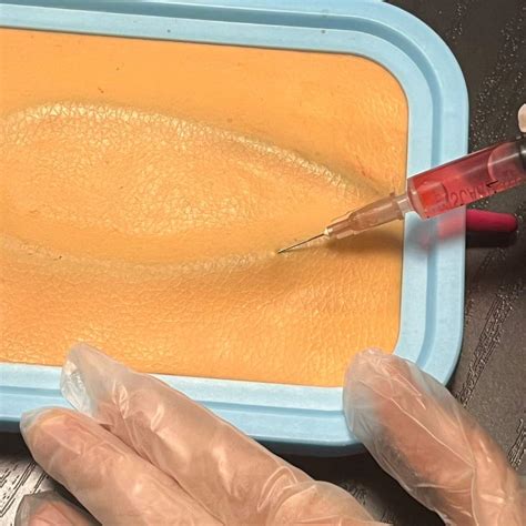 Kit Di Esercitazione Per Iniezioni E Prelievi IPPOCRATESHOP