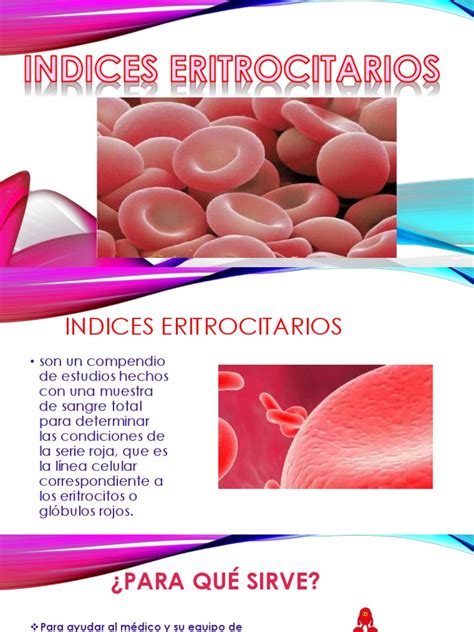 Indices Eritrocitarios Pdf Anemia Glóbulo Rojo