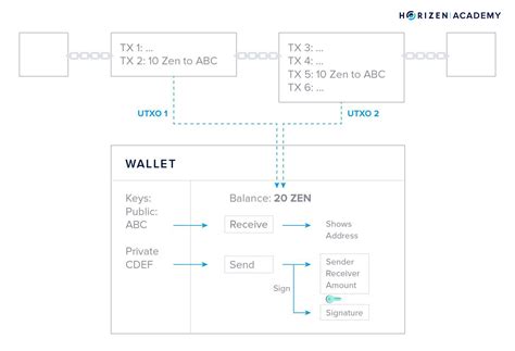 the utxo vs account model horizen academy