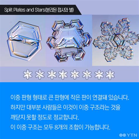 더쿠 눈 결정 모양 유형 