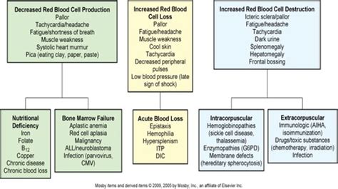 Type Of Anemia And Lab Values Flashcards Quizlet