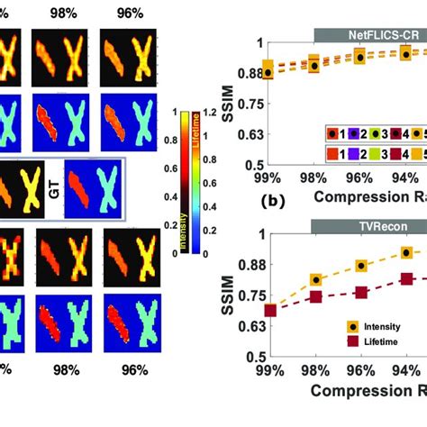 Rpi Phantom Dimensions And Volume Capacities Per Letter For Imaging It