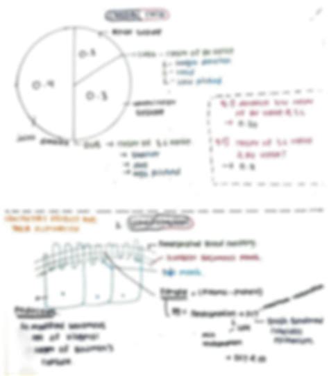 SOLUTION Digestion And Absorption Human Physiology Mindmap Studypool