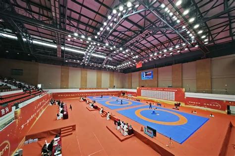 厉害了！龙川人谢聪宝获第一届全国学生（青年）运动会（公开组）国际式摔跤预赛自由跤57公斤级第一名澎湃号·政务澎湃新闻 The Paper