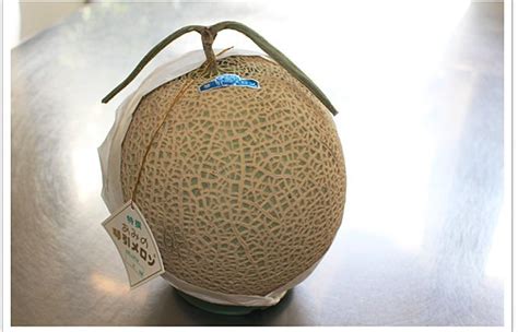 甘くてジューシー！夏の風物詩、おいしいメロン Ippin（イッピン）