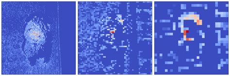 Guided Backpropagation From Scratch With Pytorch Hooks A Data Odyssey