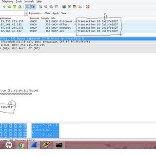 Analysis Of Dhcp Offer Packets In Wireshark The Client Ip Address Is
