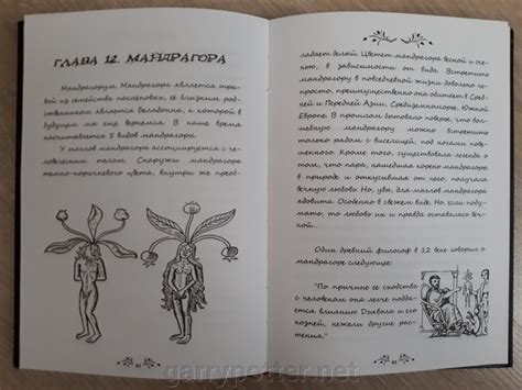 Купить книгу Гарри Поттер Учебники Хогвартса Травология В наличии по выгодной цене