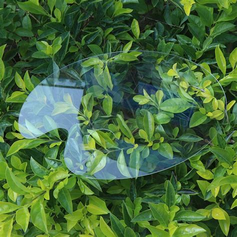 Acrylic Paint Palette Transparent Clear Gouache Ar Grandado