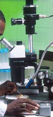 How Does A Microscope Work Explain That Stuff