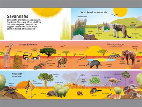 1000 Words Nature By Dk Penguin Books New Zealand