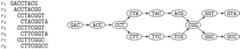 4 An Example Of De Brujin Graph With K 3 Only Read Coherent Edges