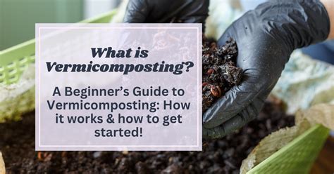 What Is Vermicomposting The Worm Spot