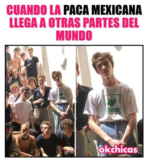 Cuando La Paca Mexicana Llega A Otras Partes Del Mundo Memes