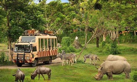 【입장권】발리 가족여행 필수코스 사파리 마린파크 입장권 Kkday