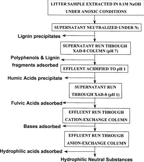 Extraction And Fractionation Procedure Download Scientific Diagram