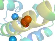 Cartoon Transparency PyMOLWiki