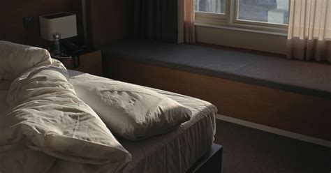 The Unseen Invaders A Global Bed Bug Saga