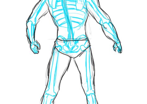 Skeleton Tracing Anatomy Study Artloader Net