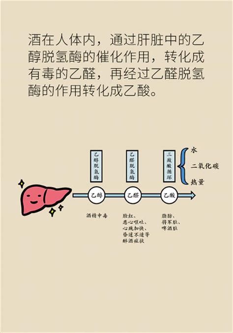 喝完酒后，千万别服用这几类药人群养生频道东方养生