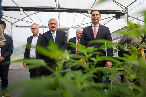 Elecciones 2023 En Vivo Rodríguez Larreta Se Mostró Con Hotton Y