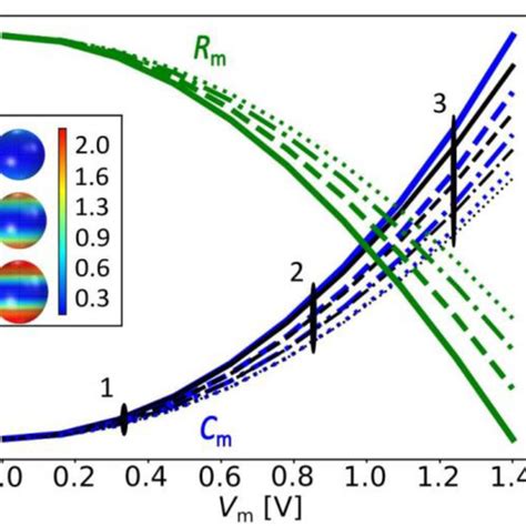 Pdf Resistorcapacitor Modeling Of The Cell Membrane A Multiphysics Analysis