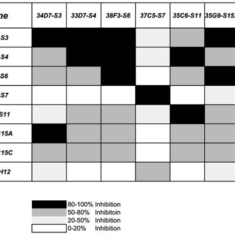 Summary Of Cross Inhibition Binding Results Obtained For The Mabs By