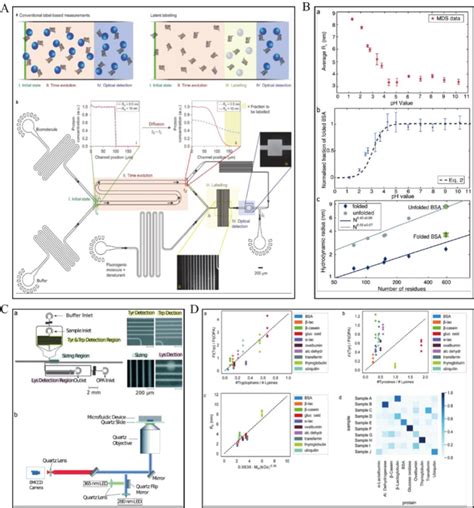 A Latent Labelling Microfluidic Diffusional Sizing Device {reprinted