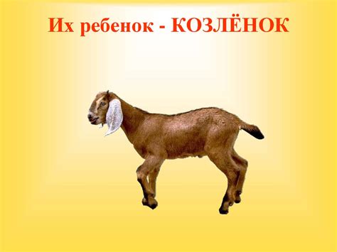 Чей ребёнок жеребёнок презентация онлайн