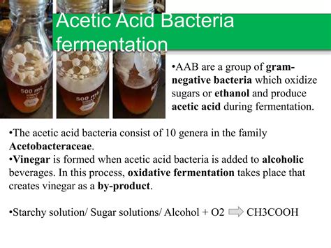 Fermentation and enzyme technology | PPTX