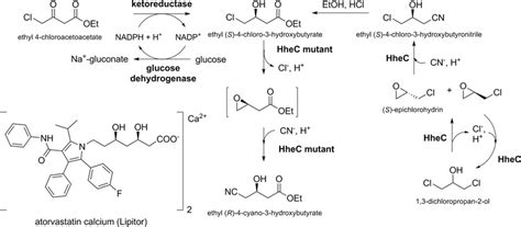 Biocatalytic Synthesis Of Statin Side Chain Precursors Download