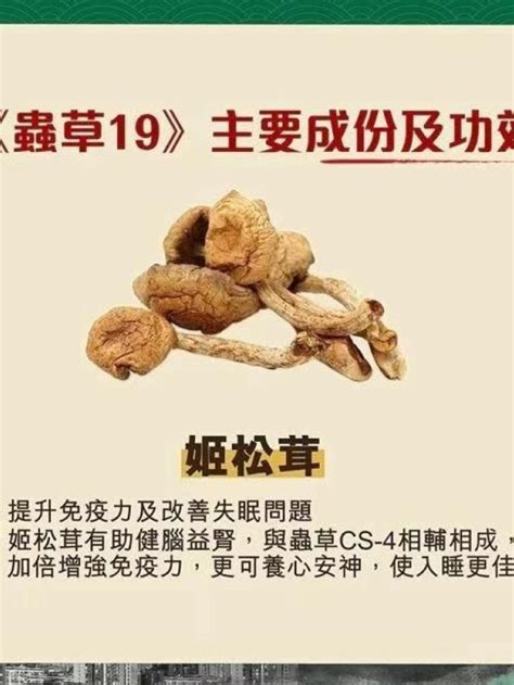 17409🔴購滿1000包郵樂記車隊🔴蟲草大王蟲草19（一盒60粒）⚠️111截單⚠️預計2月中至尾到貨 Tp Modern Lady