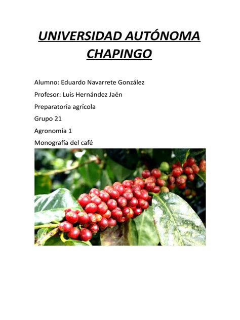Monografí Pdf Café Té